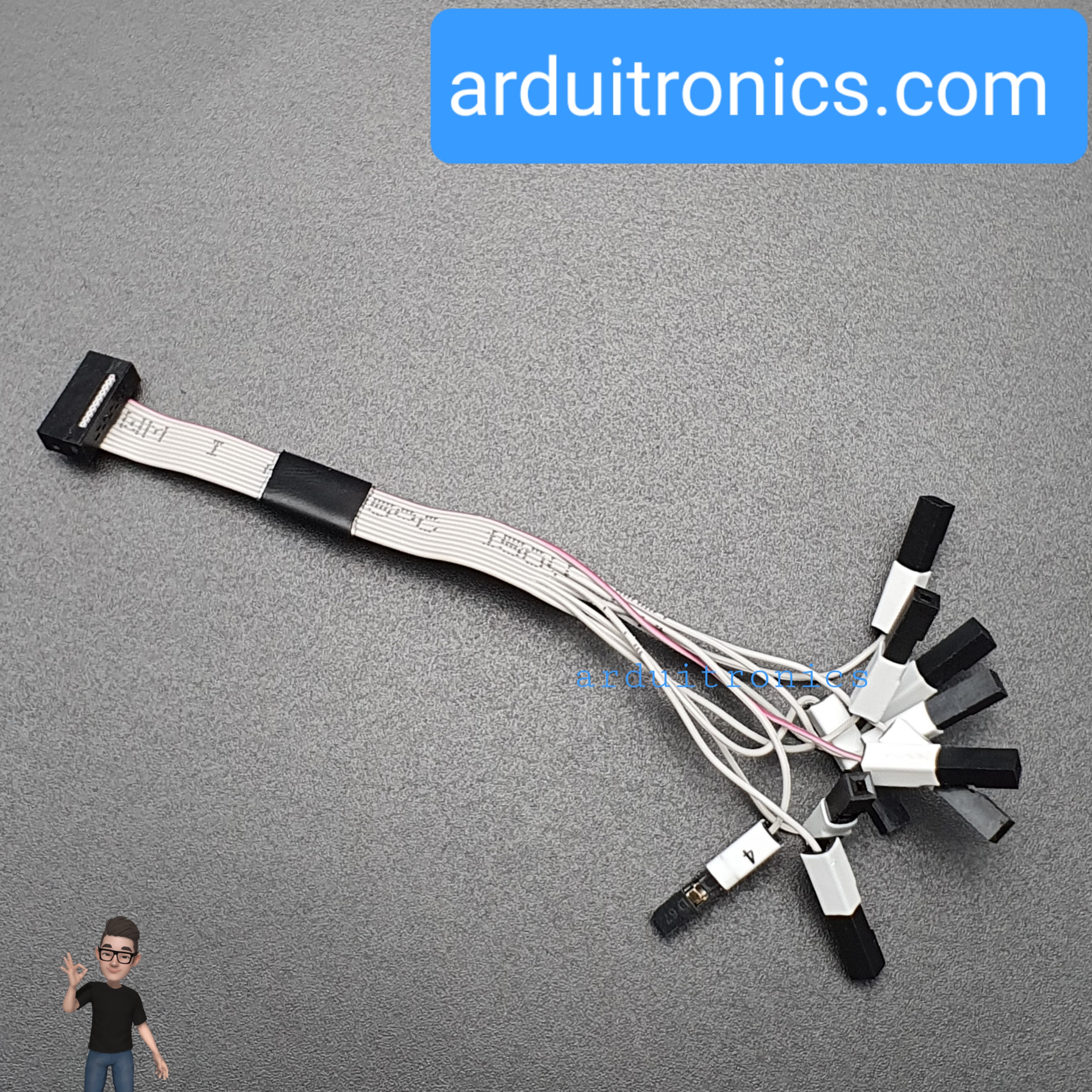 Microchip Atmel-ICE, Programming Kit for SAM and Atmel AVR Microcontrollers - Arduino, Raspberry ...